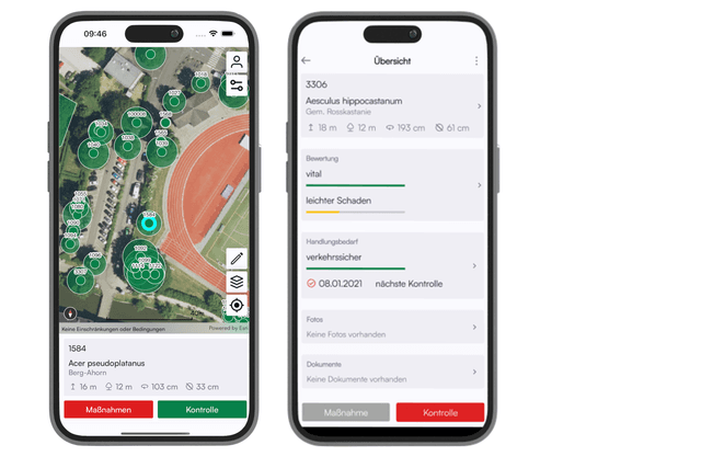 arbonet - die Baumplattform | Produkt